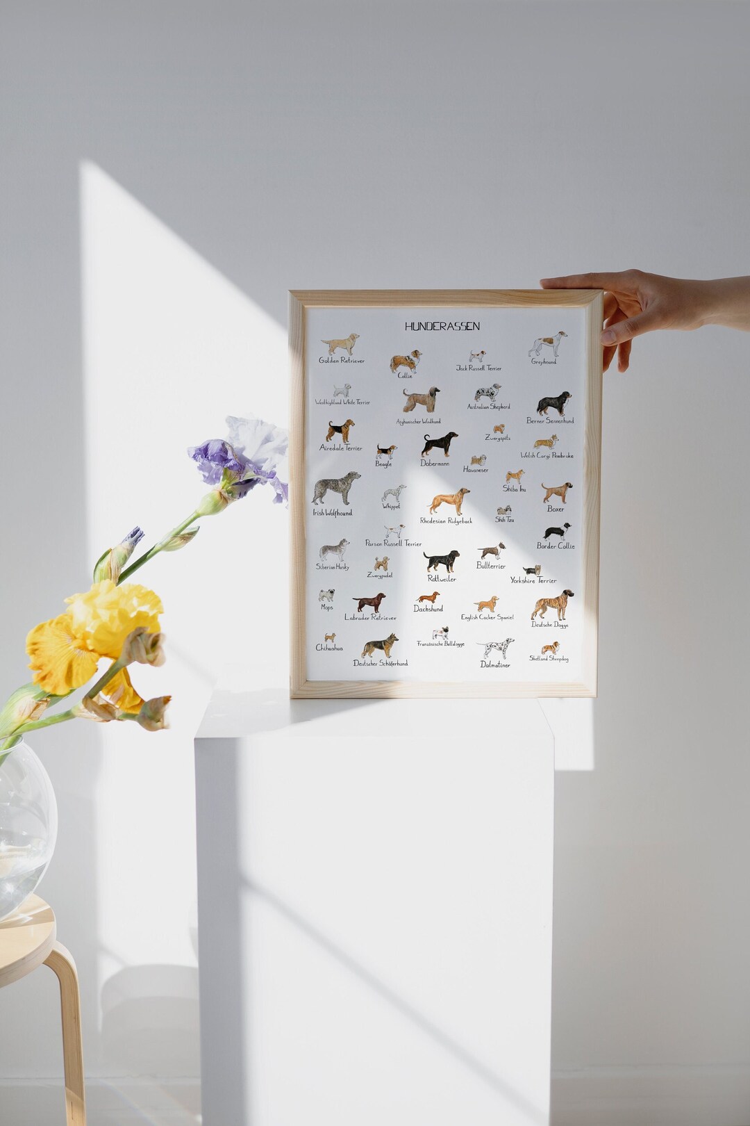 Dog Breeds Poster Dogs Poster Veterinarian Poster Dog Salon German ...