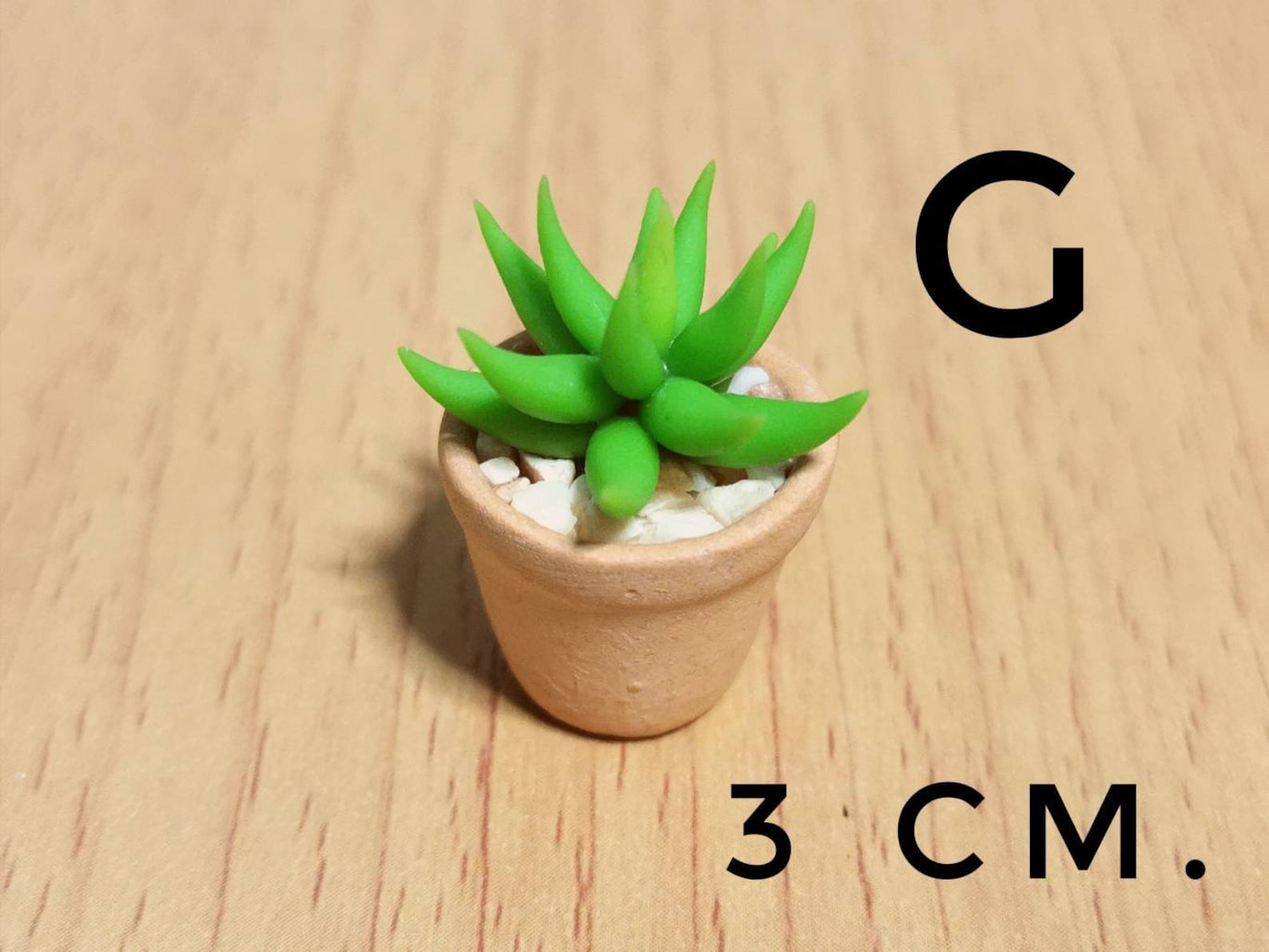 Succulent Clay Cactus Miniature Potted Plant Mini Cacti | Etsy