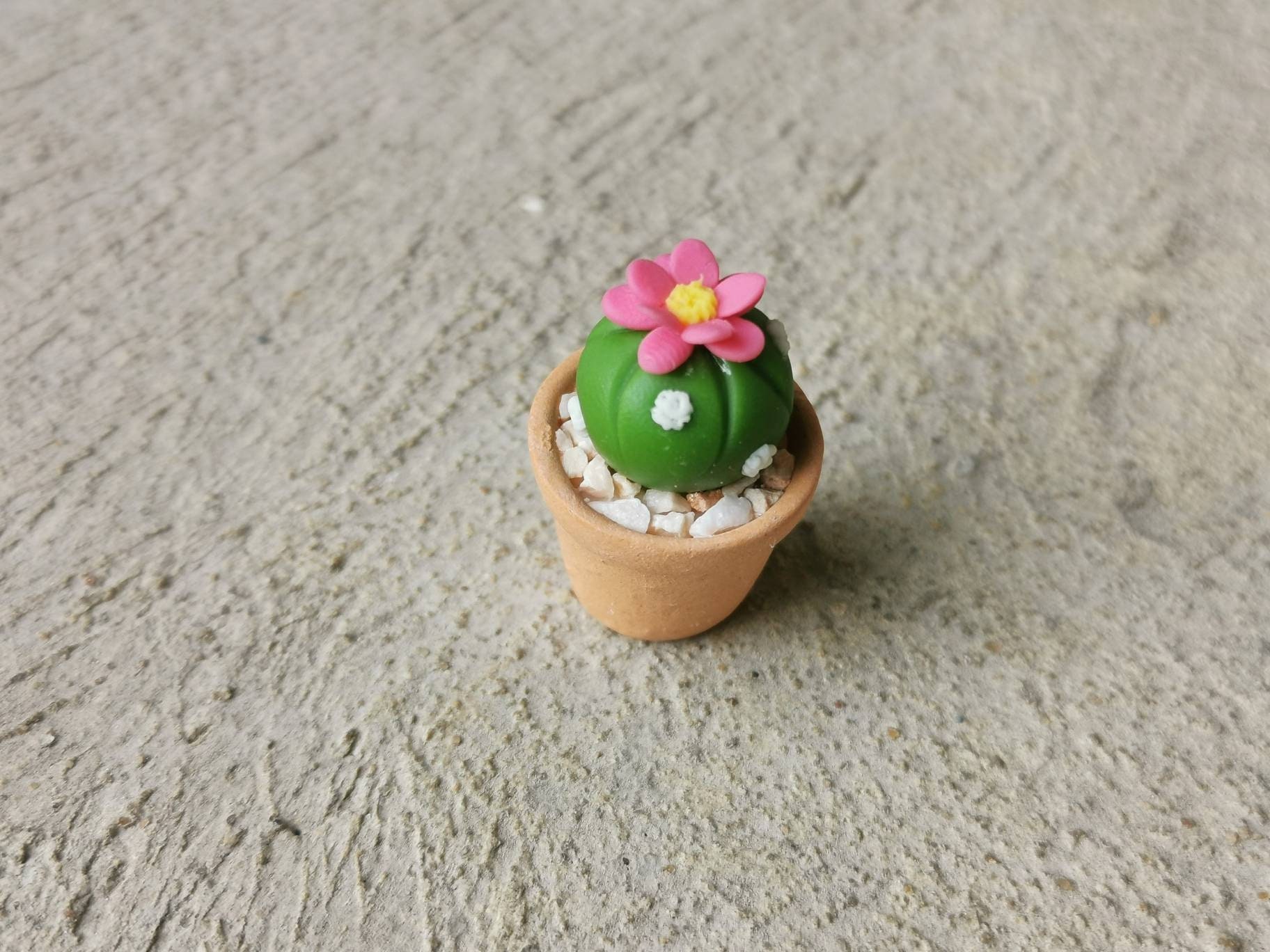 Clay Cactus Miniature Polymer Potted Plant Small Mini Cacti - Etsy UK