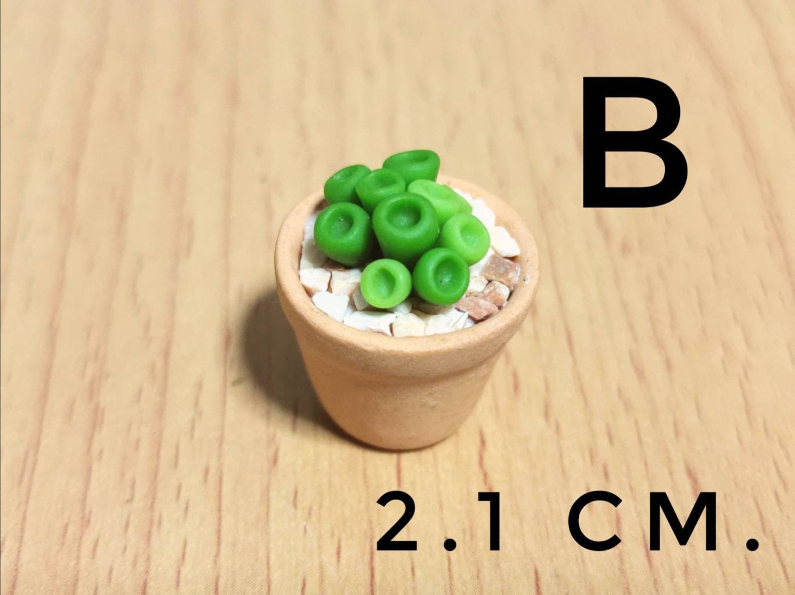 Succulent Clay Cactus Miniature Potted Plant Mini Cacti - Etsy