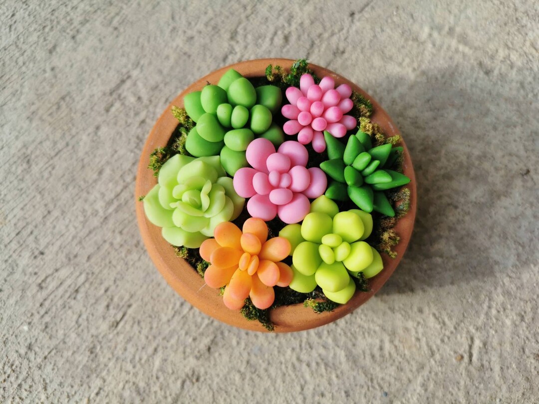Clay Cactus Miniature Potted Plant Small Mini Cacti Handmade Gifts for ...