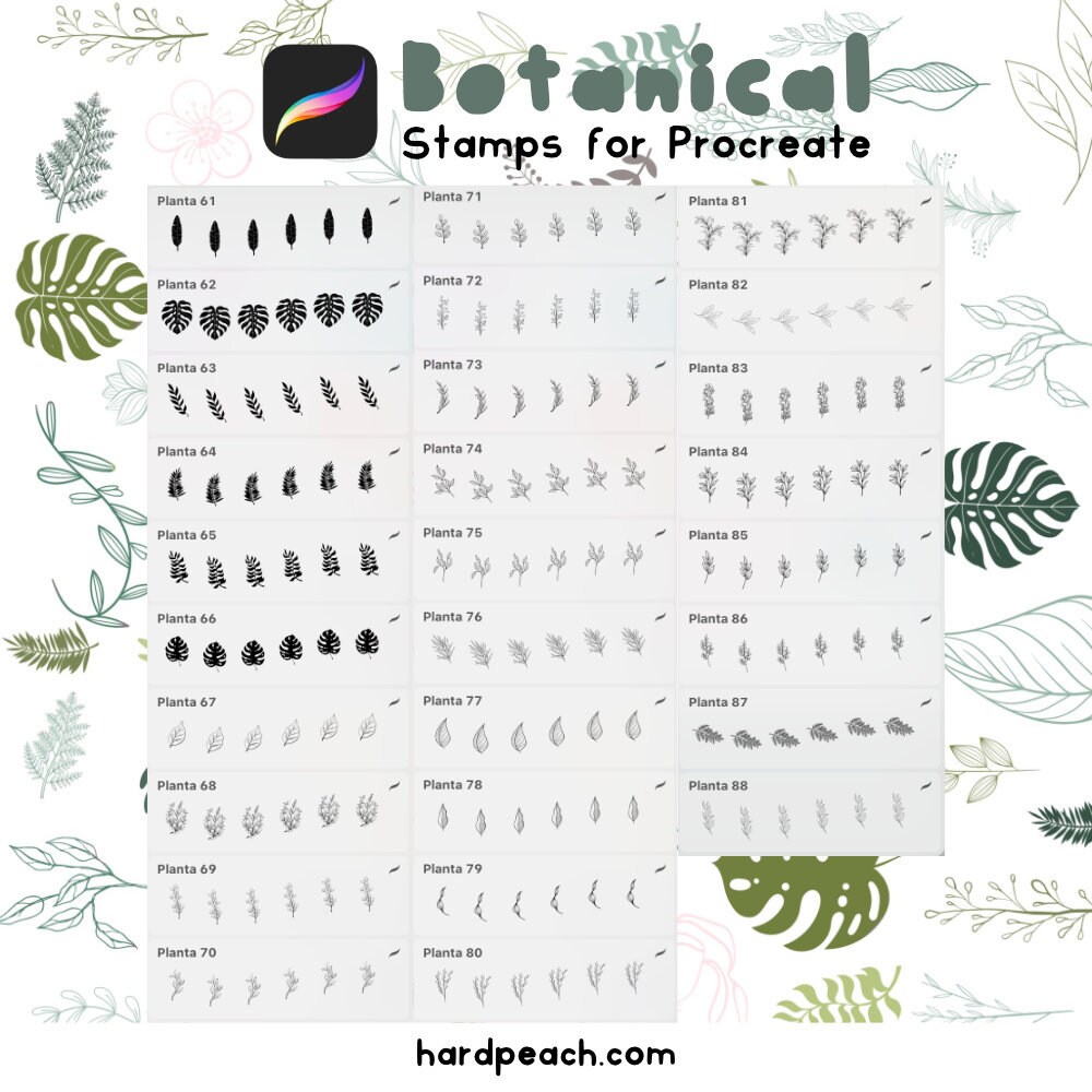 88 Procreate Botanical Stamps Procreate Leaves Stamps for Procreate Procreate Brushes - Etsy