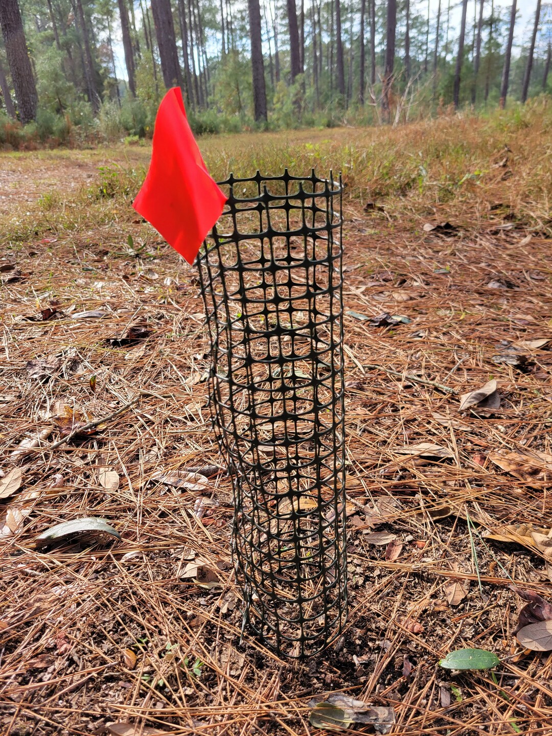 20 Tree Protectors Plastic Cylinders to Protect Seedlings - Etsy