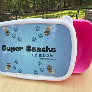 Dog Treat Holder, Lunchbox With Snack Box, Dog Show Supplies - Etsy