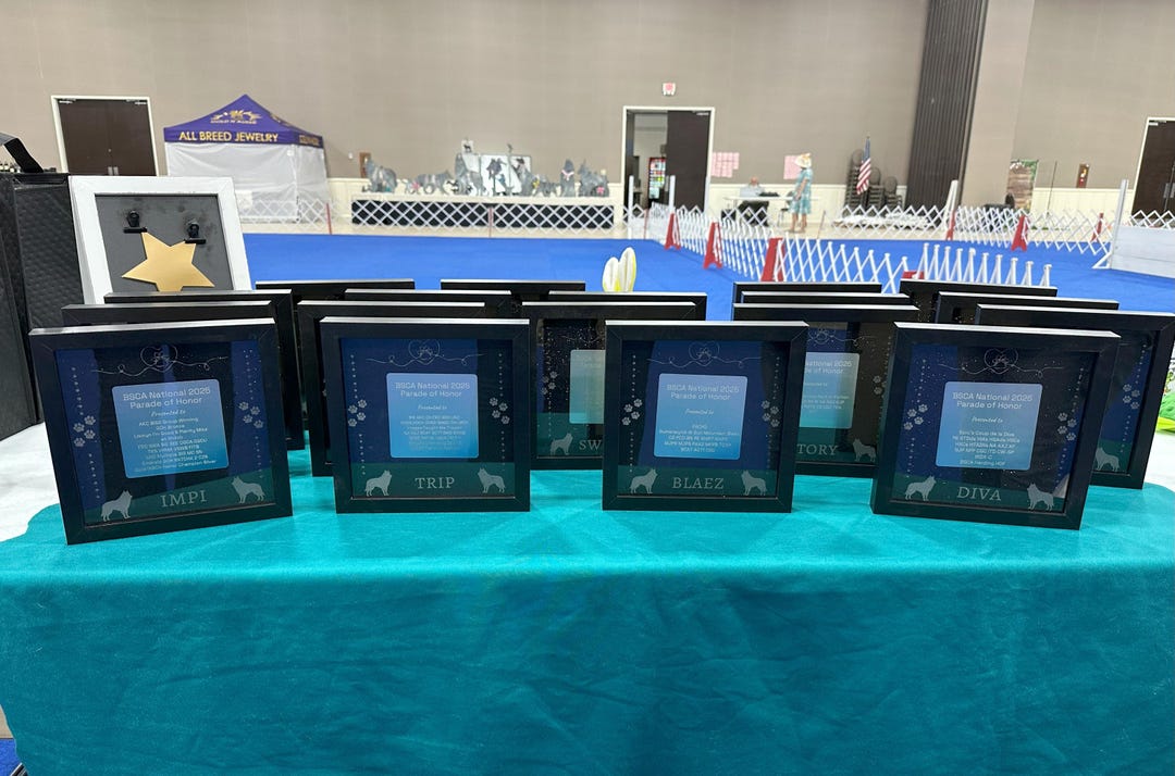 Dog Show Award Shadowboxes, Personalized Awards for Parades and ...