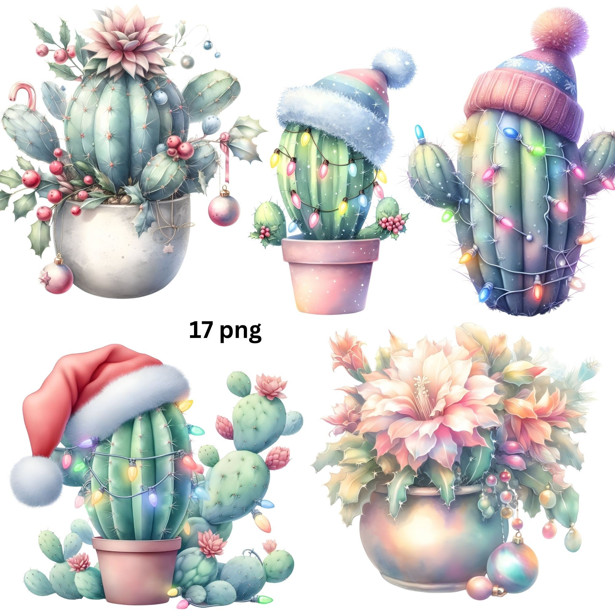 Christmas Cactus PNG, Christmas Clipart,cactus Clipart,christmas Desert ...