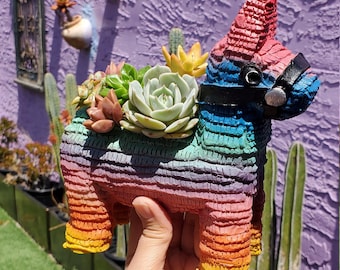 Terra Cotta Donkey Planter With Drainage Hole/donkey/donkey - Etsy