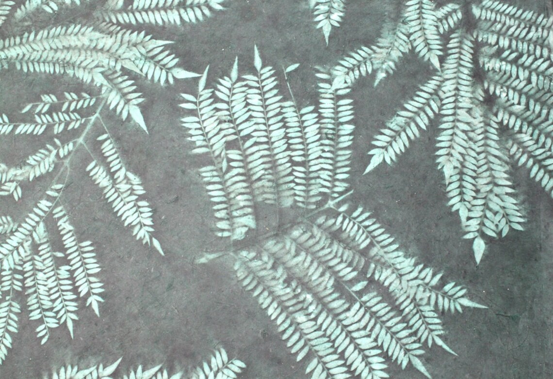 Lokta Paper Nepali Paper Fern Solar Printing - Etsy