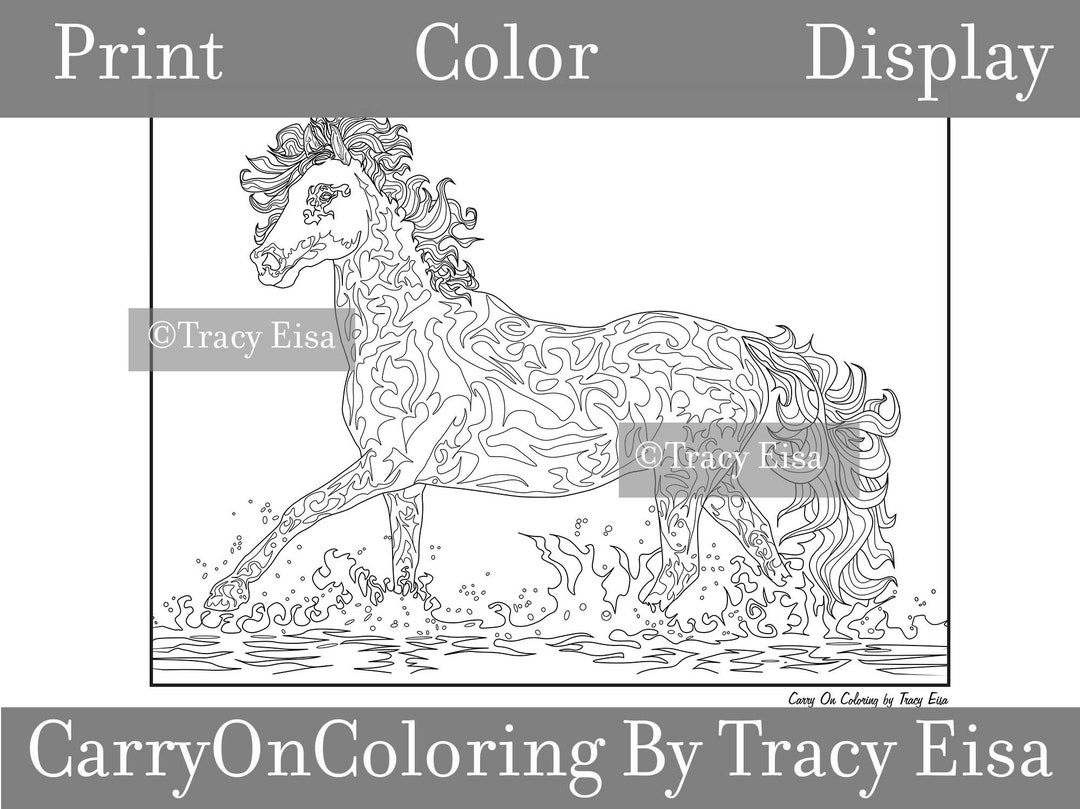 Water Baby Horse - Line Art Horse Coloring Page, PRINTABLE, DIGITAL ...
