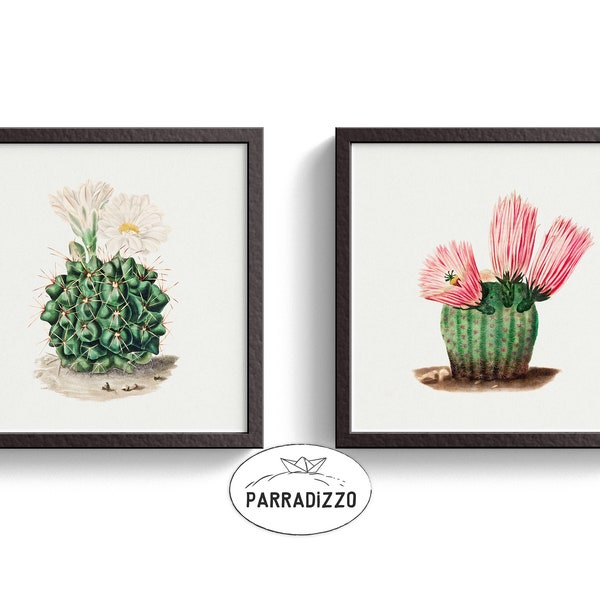 Square Cactus Art - Etsy
