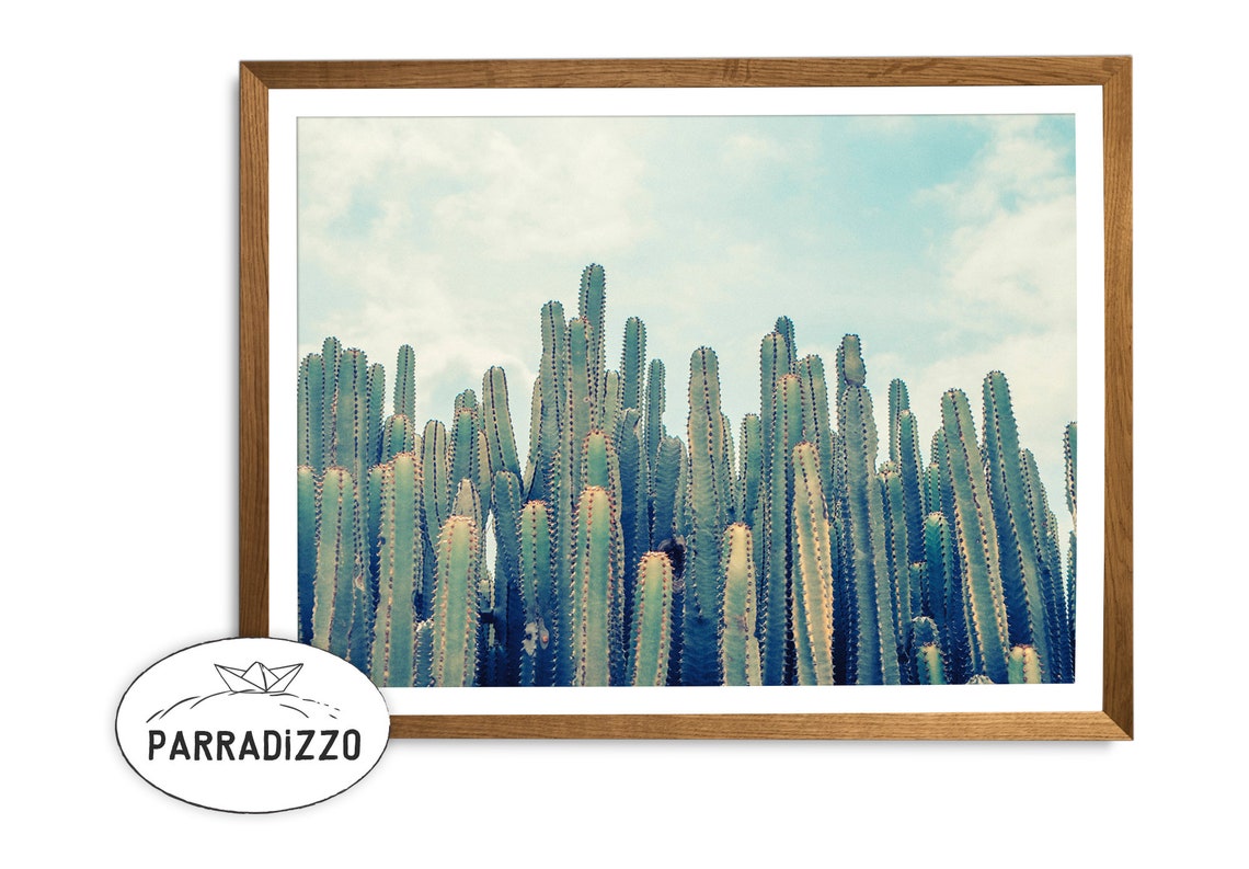 Cactus Landscape Photography Print, Cacti Wall Art Instant Download ...