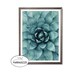 Succulent Print, Instant Download, Succulent Photography, Plant Print ...