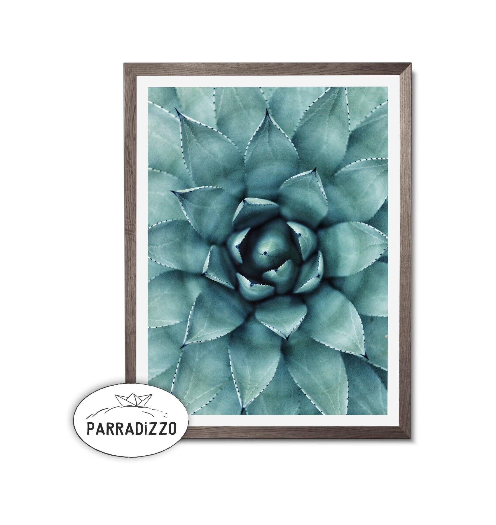 Succulent Print, Instant Download, Succulent Photography, Plant Print ...