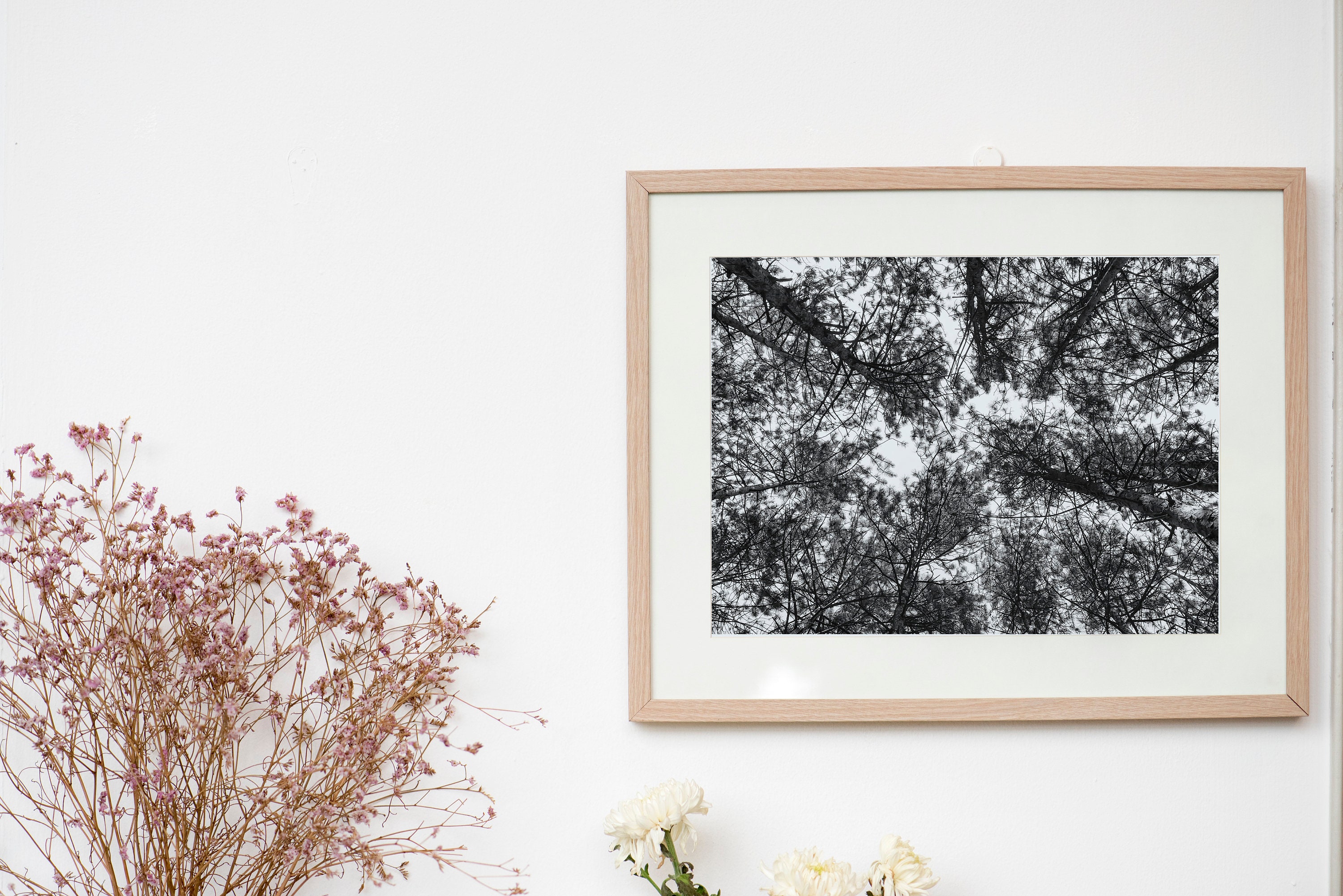 Black and White Tree Crowns Digital Print Forest Instant - Etsy