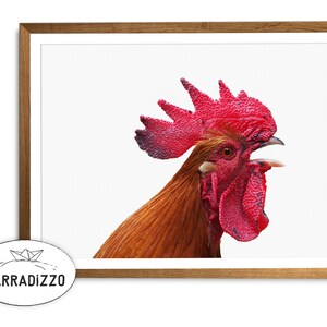 Rooster Digital Print Instant Download, Farm Animal Print, Farm Bird ...