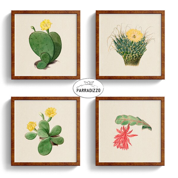 Square Cactus Art - Etsy