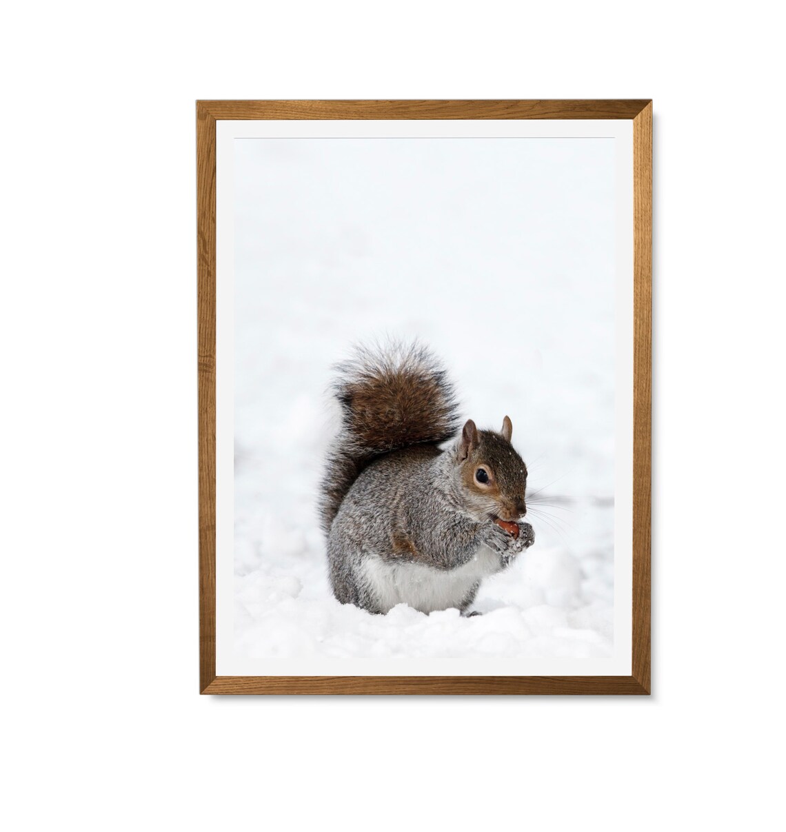 Winter Photography Wall Art, Squirrel Snow Christmas Decor, Woodland ...