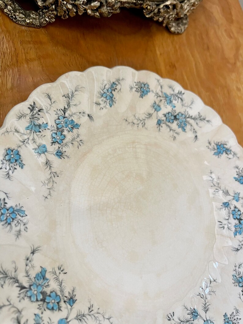 Myott, Stained Ironstone, Crazing, Farmhouse Plate Wall, Forget-me-nots ...