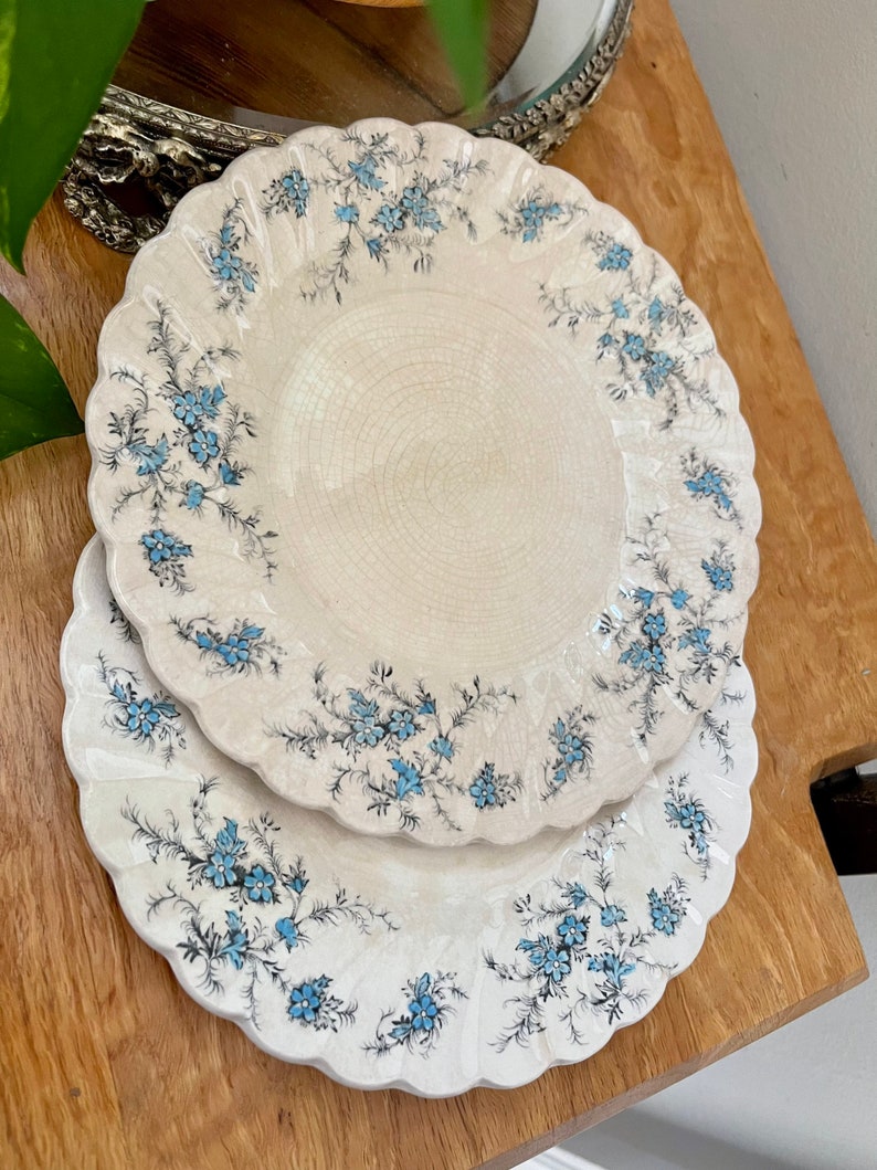 Myott, Stained Ironstone, Crazing, Farmhouse Plate Wall, Forget-me-nots ...
