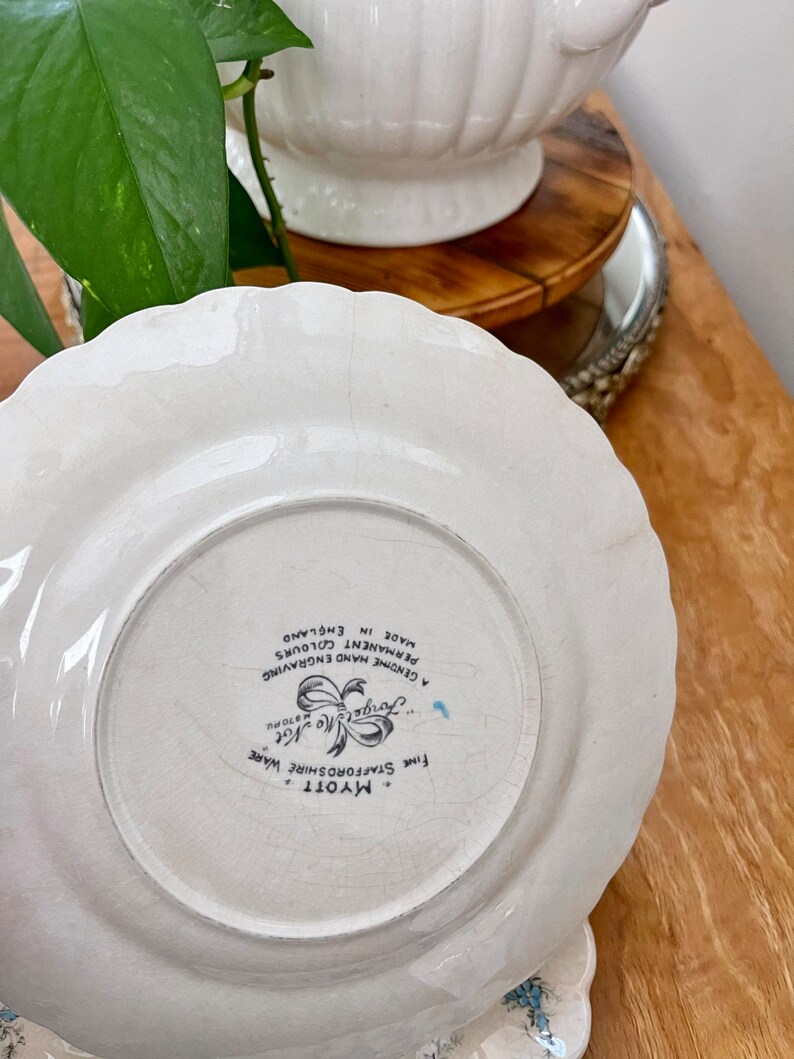 Myott, Stained Ironstone, Crazing, Farmhouse Plate Wall, Forget-me-nots ...