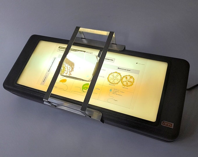 Antique Dentist Horizontal Negatoscope With Adjustable Magnifying Glass ...