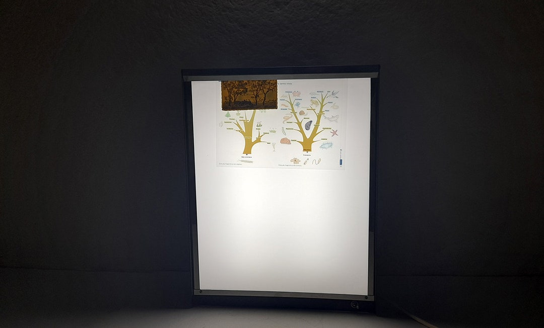 Vintage Black Wall Negatoscope. Vintage Radiography Light Box. - Etsy