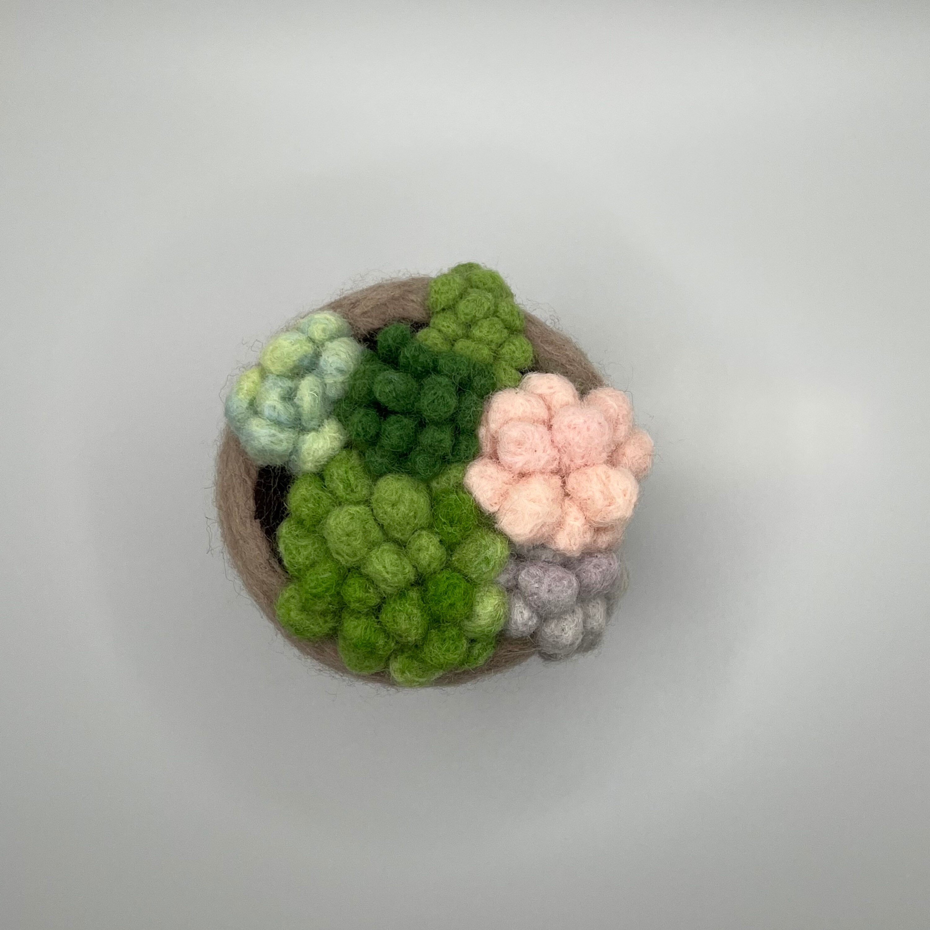 Needle Felted Succulent Plant - Handmade With Organic Roving Wool - Etsy