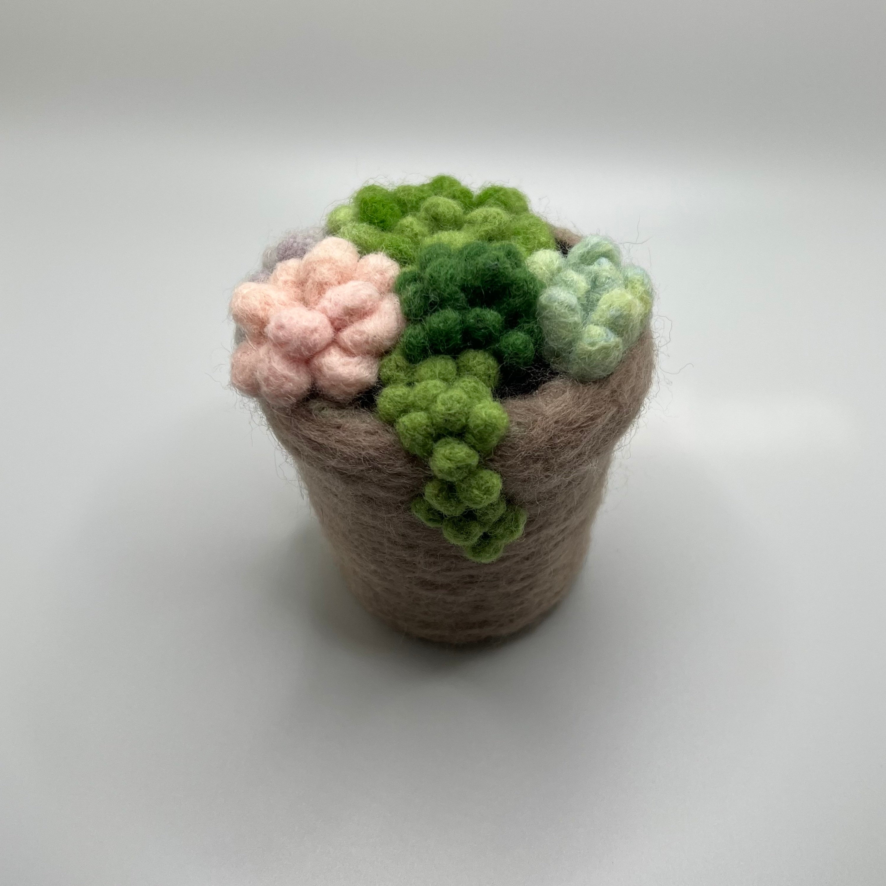Needle Felted Succulent Plant - Handmade With Organic Roving Wool - Etsy