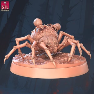 Giant Spider Miniature Set | Large Spider | Giant Spider | Spider Swarm ...