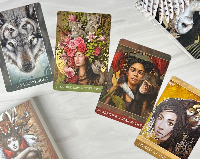 Medicine Heart Oracle Shamanic Wisdom Of The Divine Feminine Oracle Deck This Oracle Divination