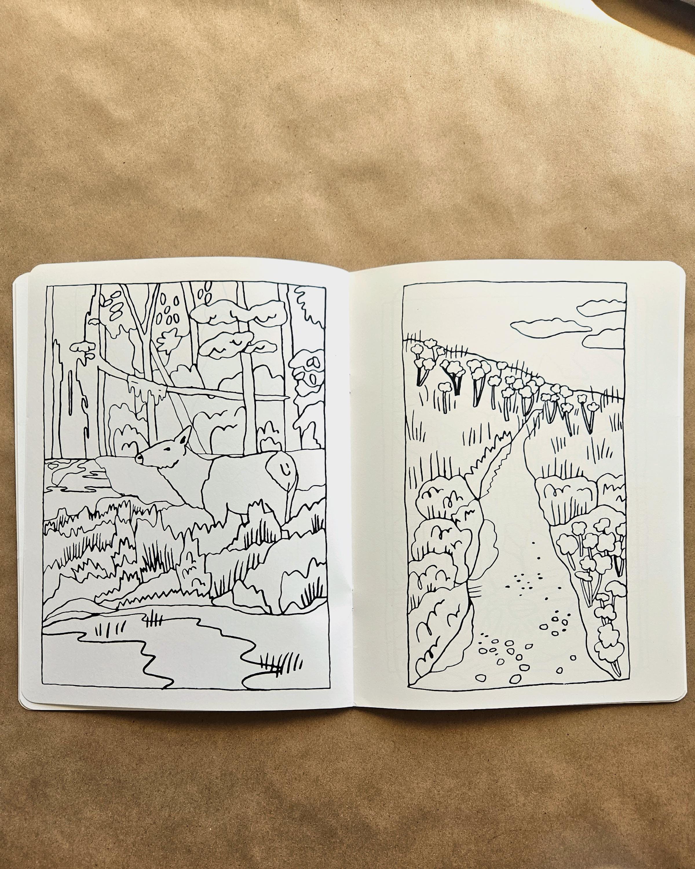 Landscapes & Animals Coloring Book - 20 Pages - Etsy
