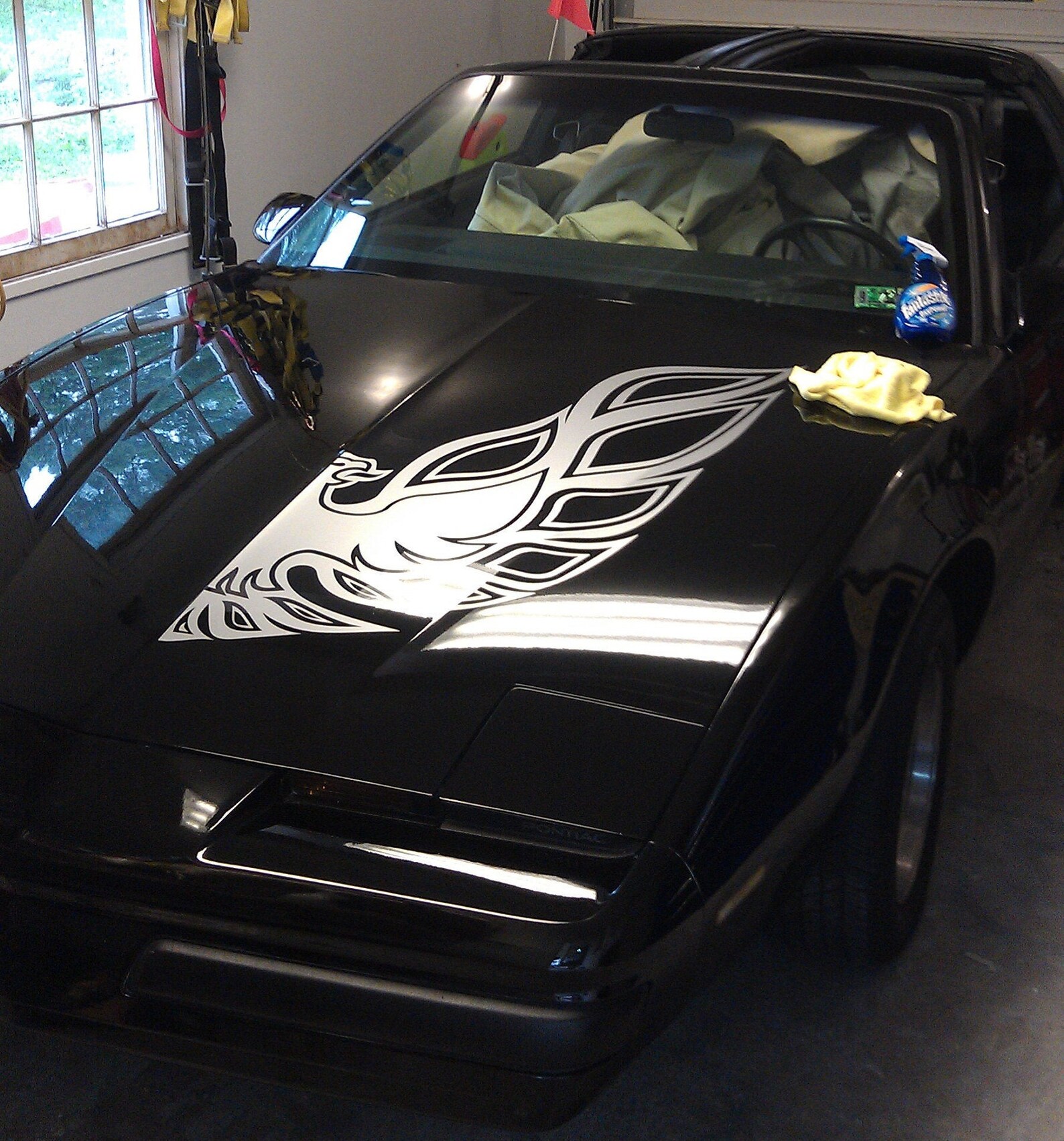45x45 Bird Phoenix Hood Vinyl Decal fits Pontiac Trans Am | Etsy