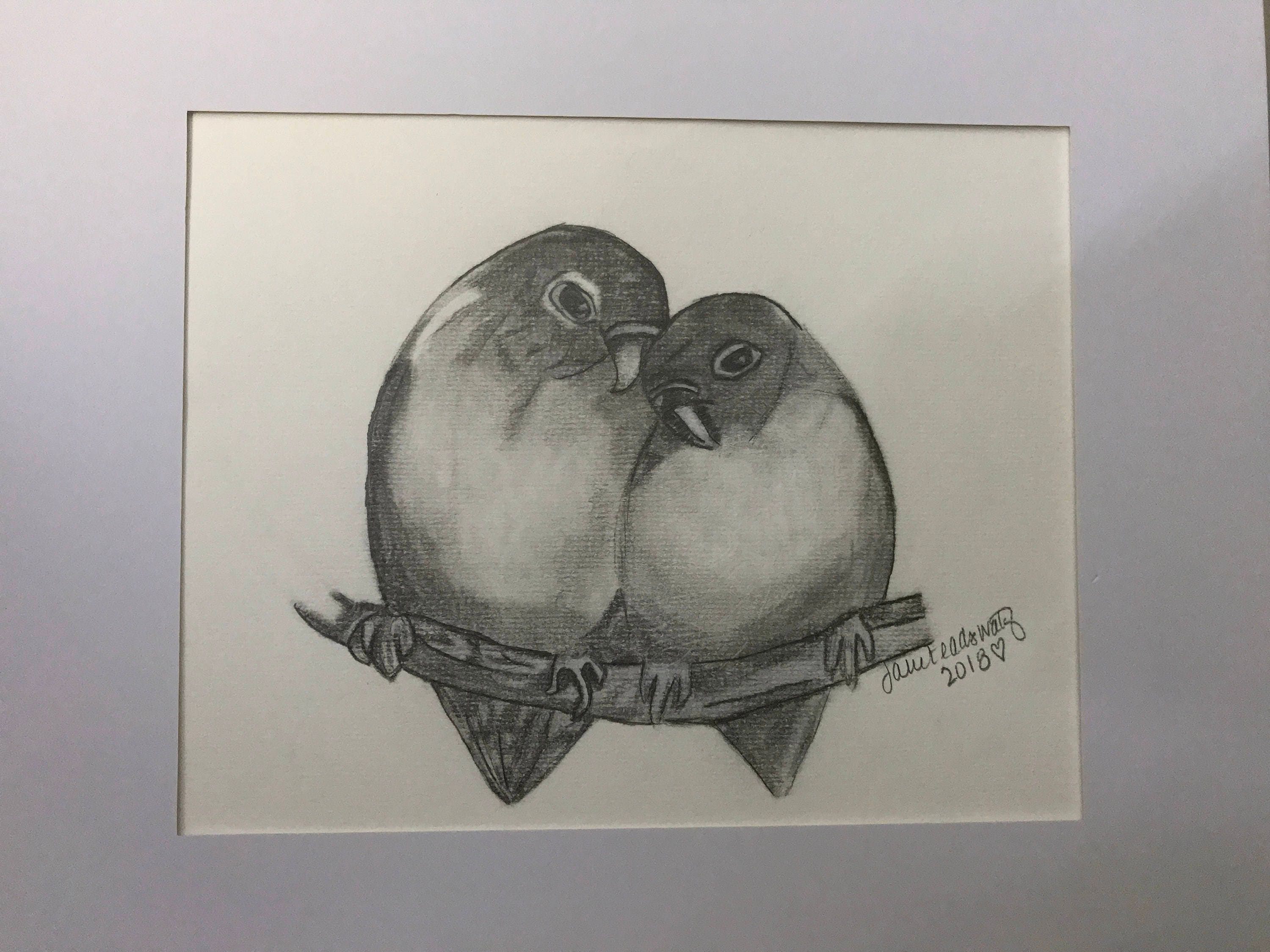 Love Birds Pencil Drawing: A Step-by-step Guide for Beginners