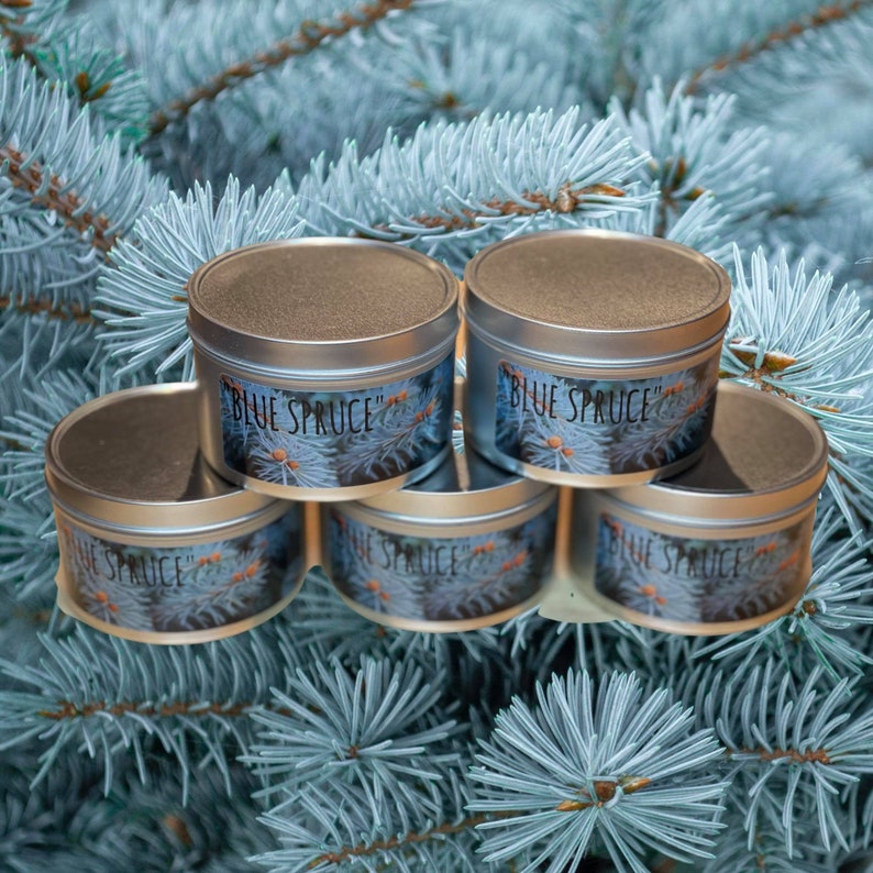 Blue Spruce Blue Spruce Candle Man Candle Woodsy Candle - Etsy