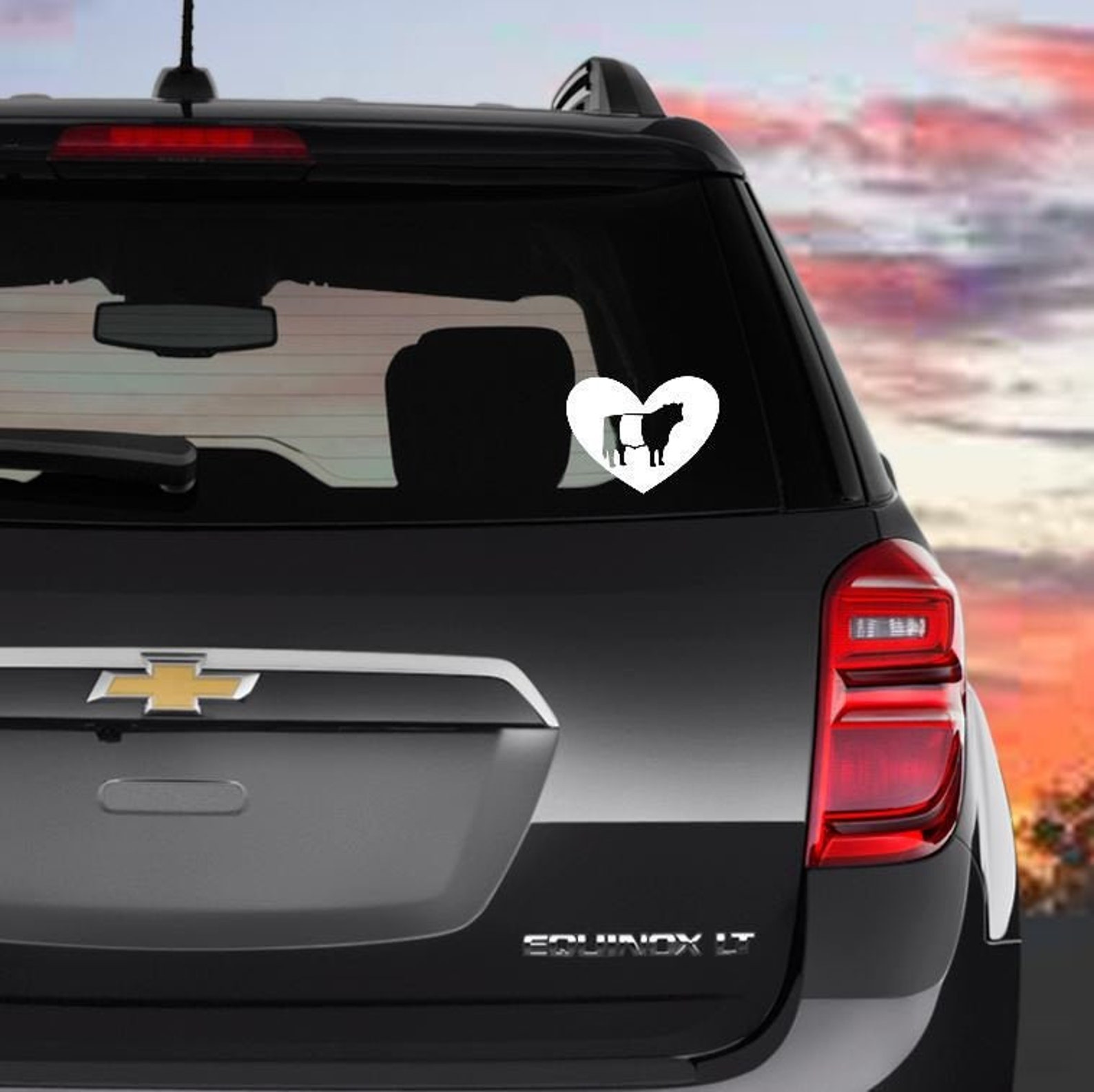 Belted Galloway Cow Car Decal Cow Window Decal Vinyl - Etsy