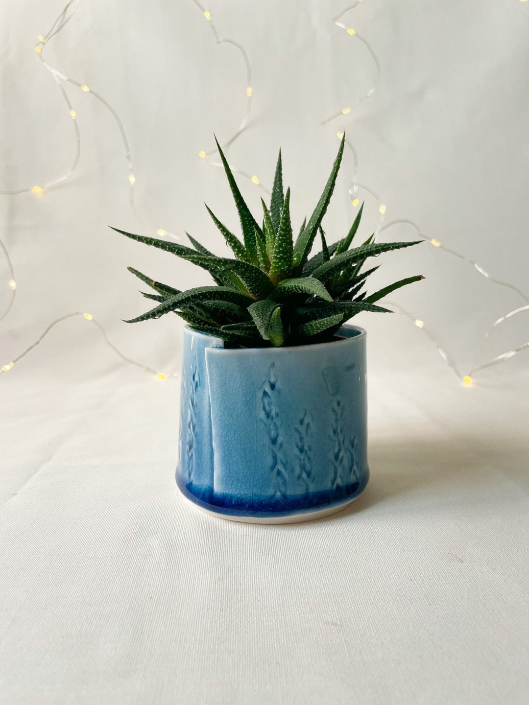 Porcelain Planter, Flora Planter, Ceramic Planter With Drainage ...