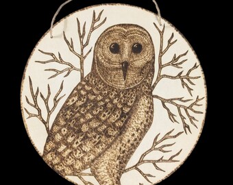 Owl / Pyrography - Etsy