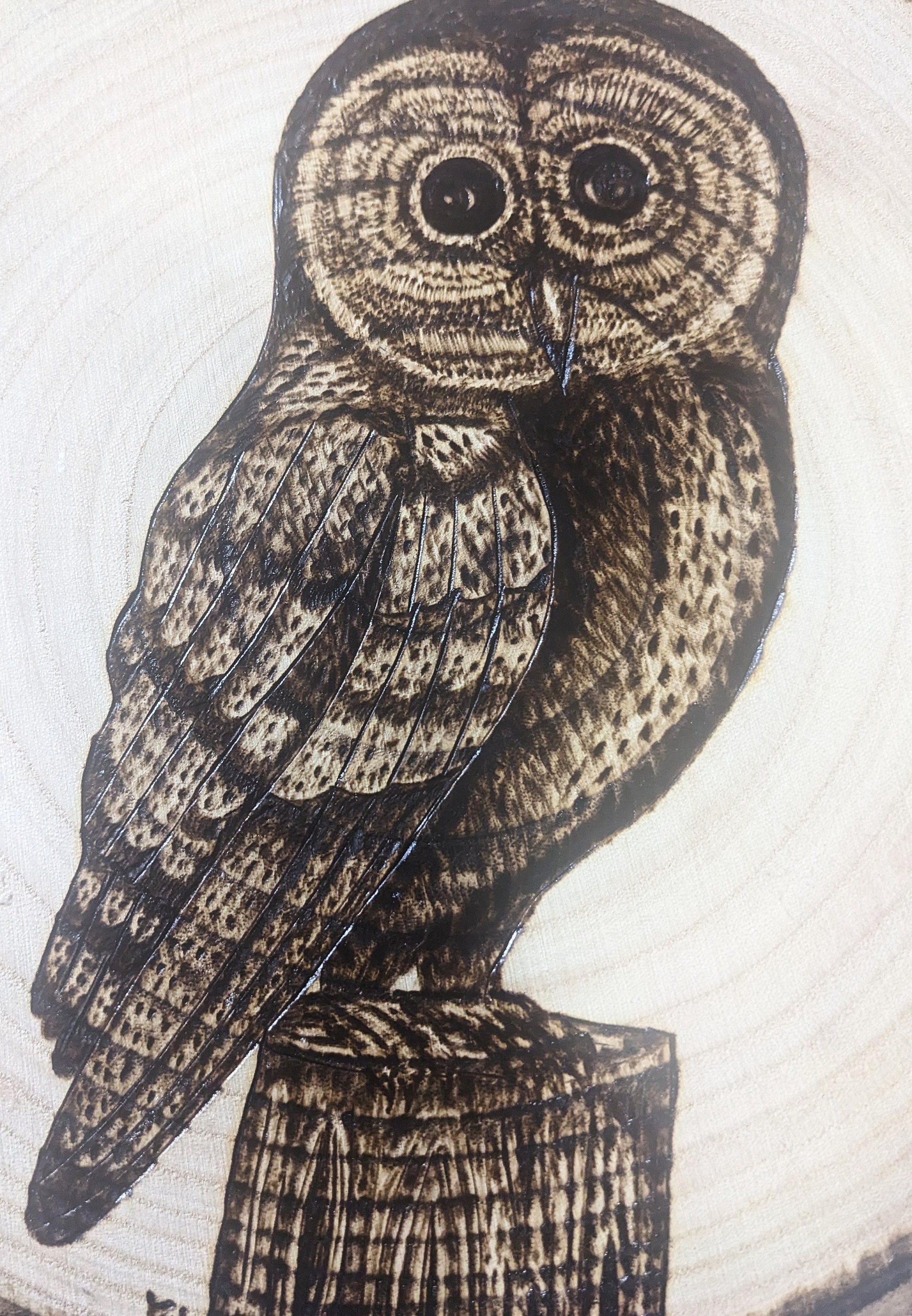 Owl Pyrography Art on Natural Wood Slice - Etsy