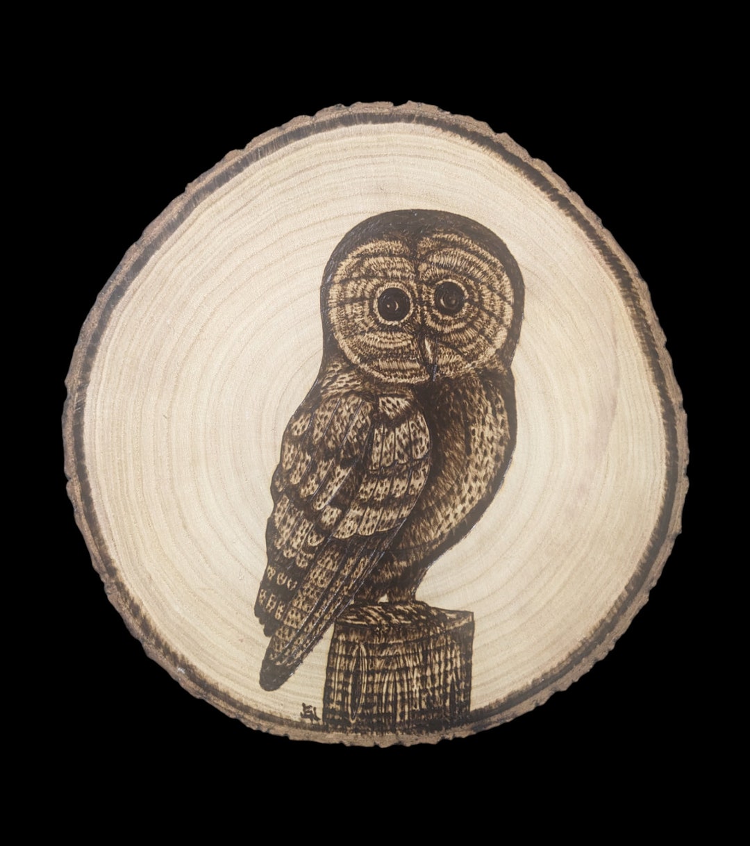 Owl Pyrography Art on Natural Wood Slice - Etsy