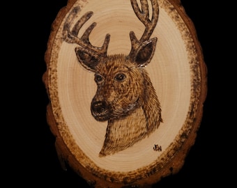Deer Skeleton Wood Burning Pyrography - Etsy