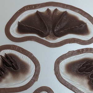 Lilith Silicone Prosthetic Forehead and Cheek Pieces - Etsy