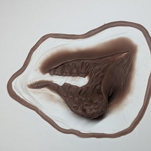 Split Cheek,half Face Prosthetic, SFX Makeup, Silicone Appliance ...