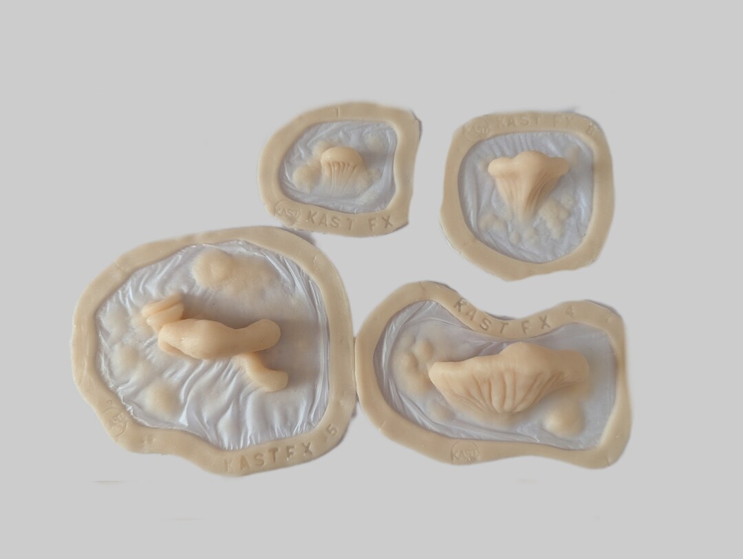 Mushroom Silicone Prosthetic SET5, Fungus, Cordyceps Set. Infected ...