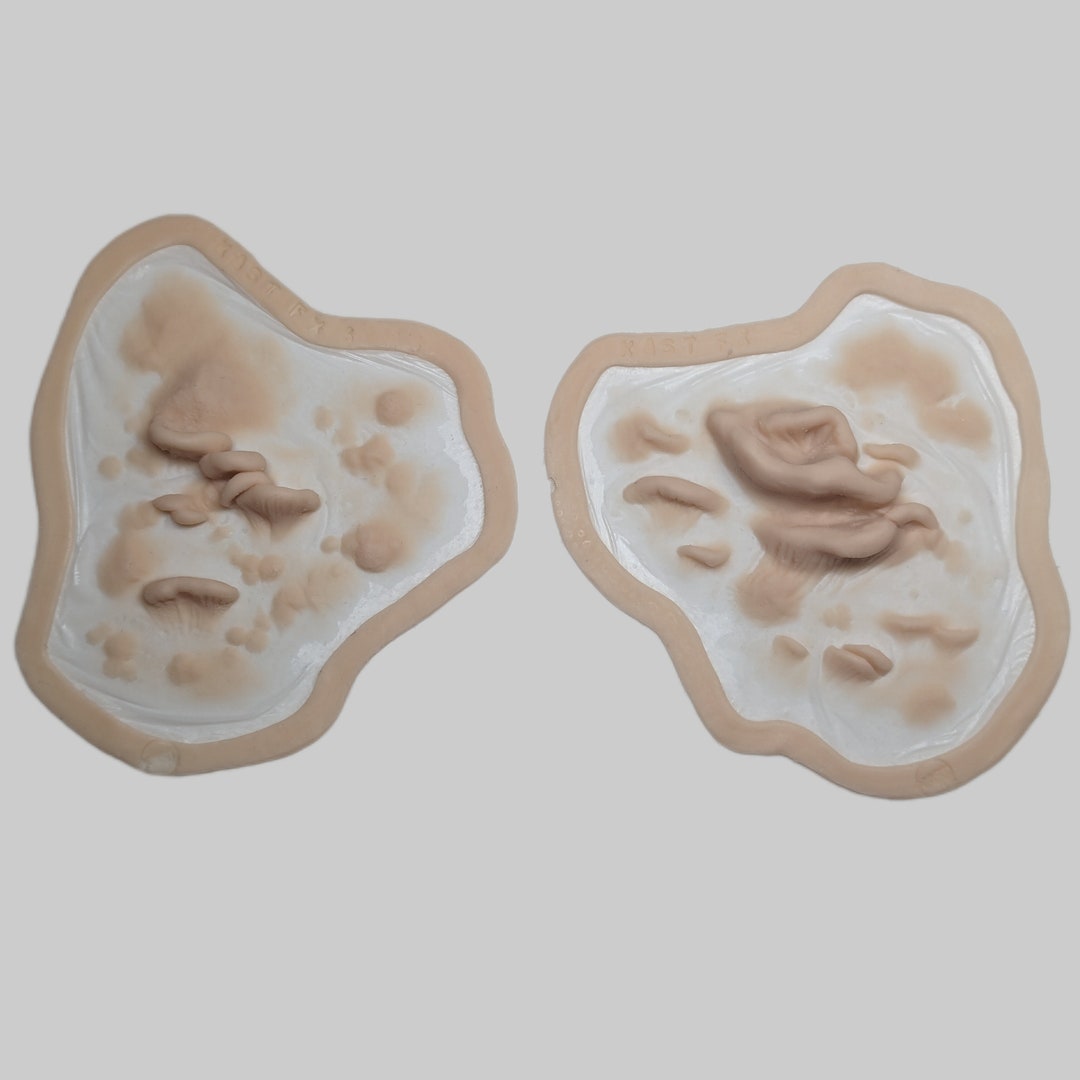 Mushroom Cheek2 Prosthetics, Fungus, Cordyceps/ Infected Zombie Spores ...