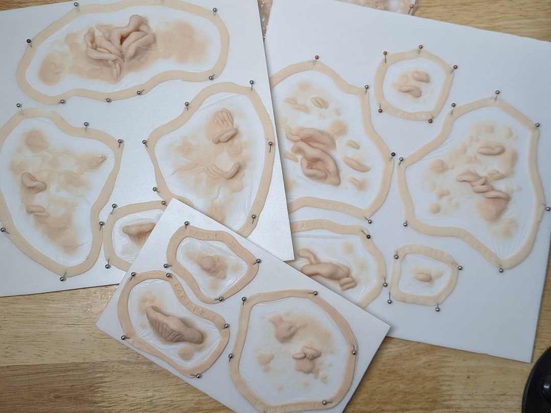 Mushroom Full Set Silicone Prosthetic , Fungus, Cordyceps Full Set ...