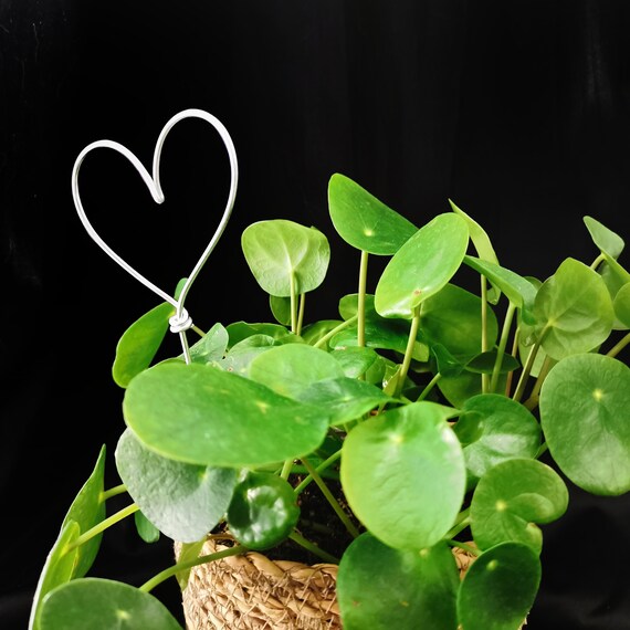Love Heart Plant Topper Plant Marker Plant Decor Bouquet | Etsy