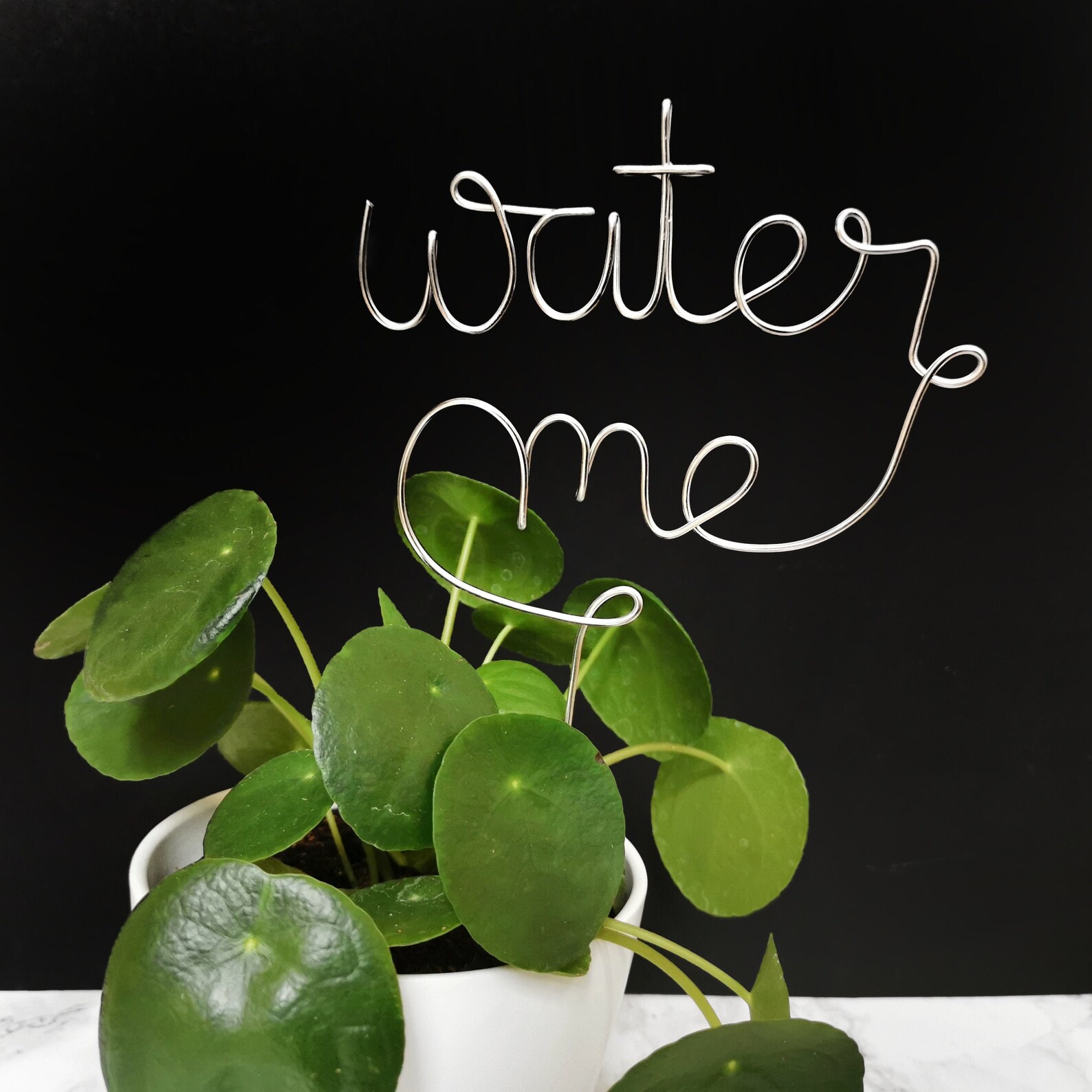 Wire Water Me Plant Marker Plant Topper Garden Marker - Etsy