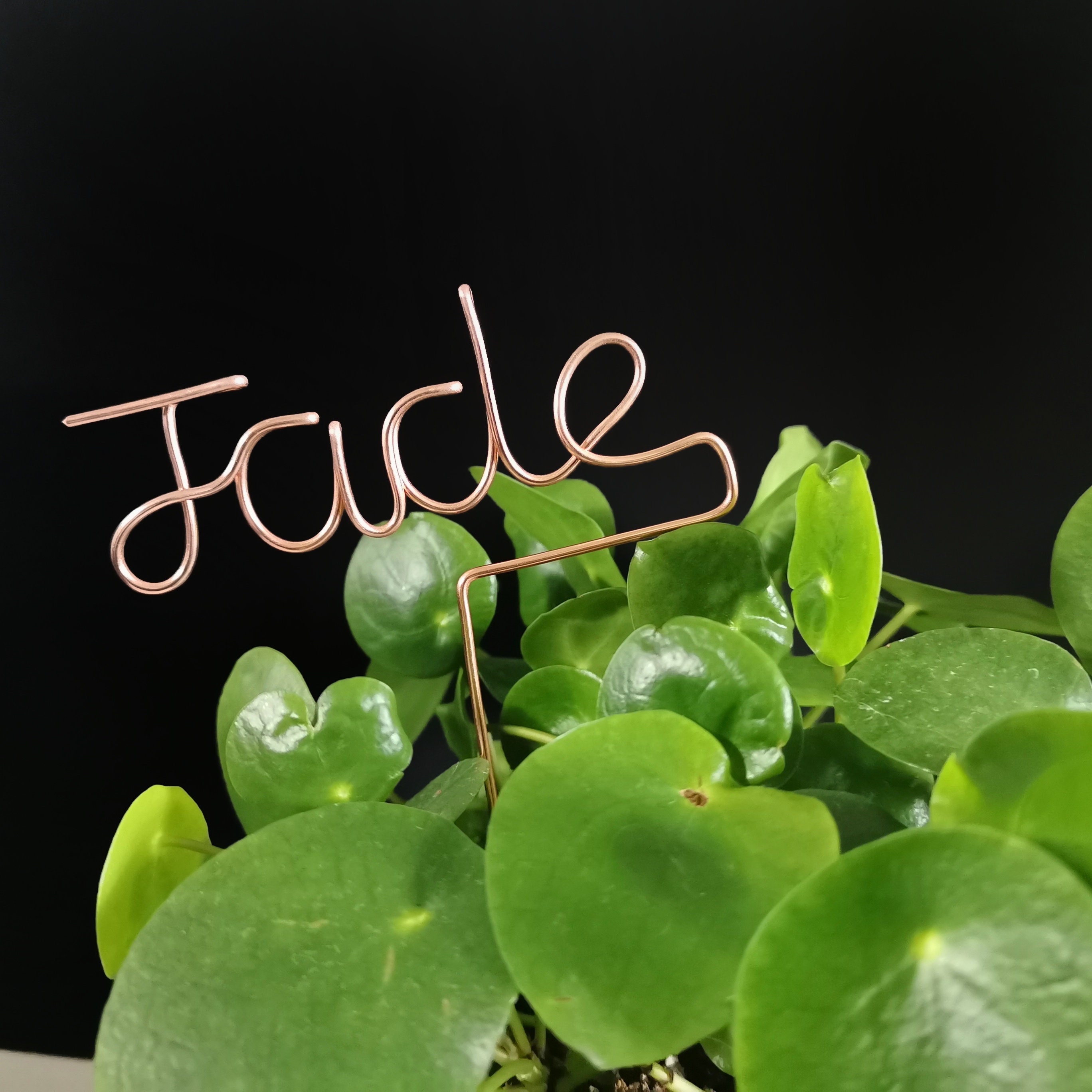 Personalised Name Plant Marker Plant Topper Plant Lover - Etsy UK