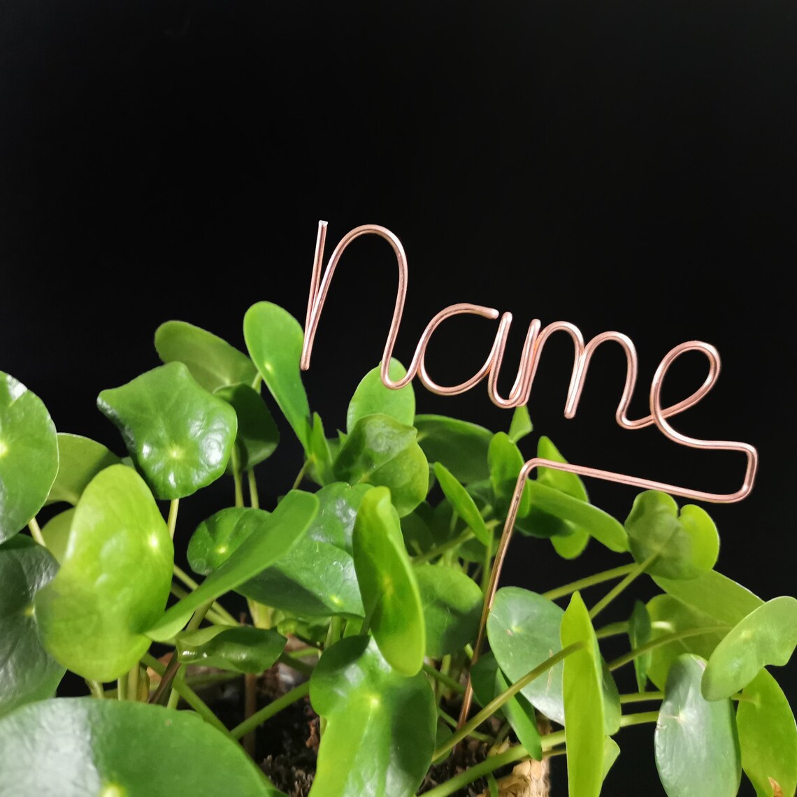 Personalised Name Plant Marker Plant Topper Plant Lover - Etsy UK