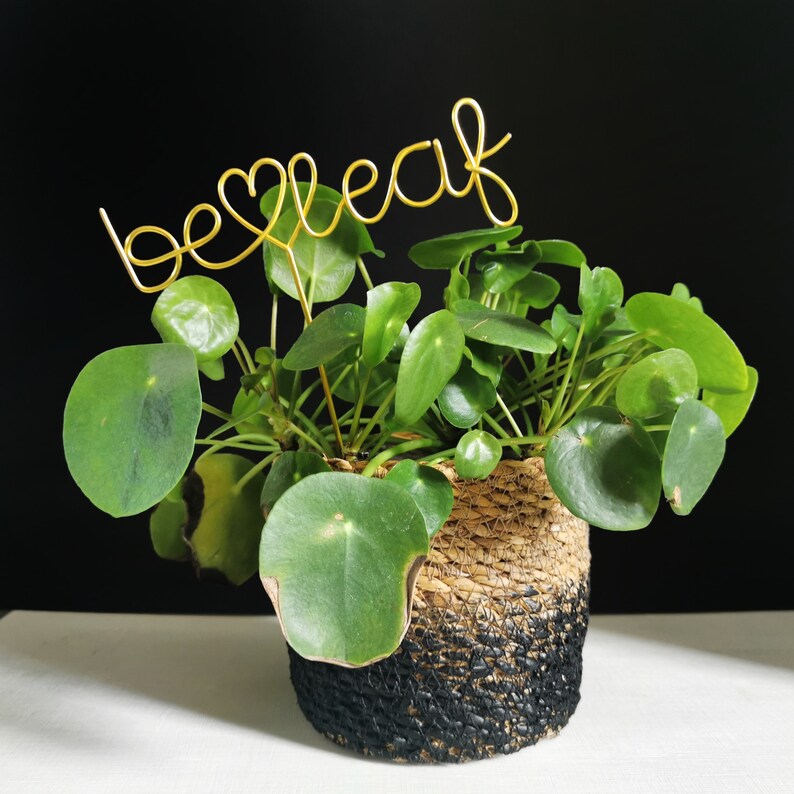 Custom Plant Marker Plant Topper Customised Personalised - Etsy Israel